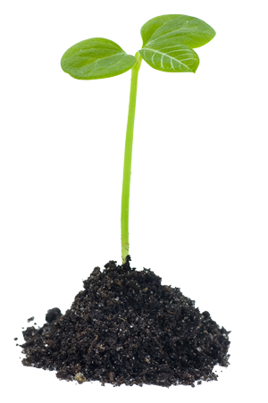 Homepage - Community Point Bank